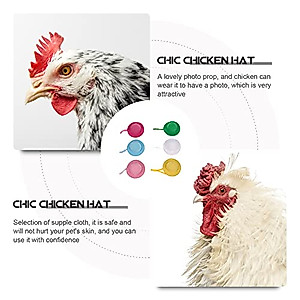 PATKAW Chicken Hats 6pcs Chicken Hats Hamster Hat with Adjustable Elastic Chin Strap Novel for Hens Rooster Lizard Guinea Pig Rat Duck Parrot Poultry Bird Parakeets Chick Tiny Pet Chicken Helmet