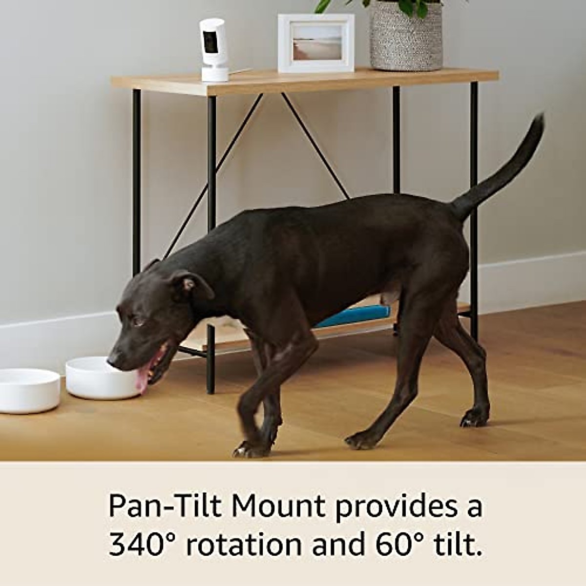 Ring Stick Up Cam Plug-in with Pan-Tilt, White (Power adapter and camera included)