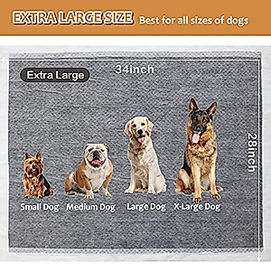 HIDOGGYLD Dog Pee Pads Extra Large 28" x 34", 30 Count, Charcoal Puppy Pads XL, Potty Pet Training Pads with Adhesive Sticky Tape, Super Absorbent & Leak-Proof Disposable Pad for Doggies
