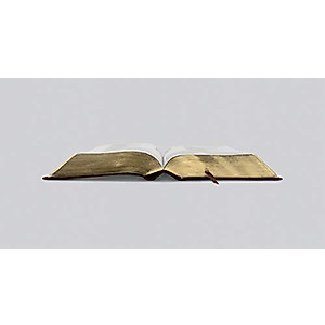 ESV Study Bible, Personal Size (TruTone, Brown)
