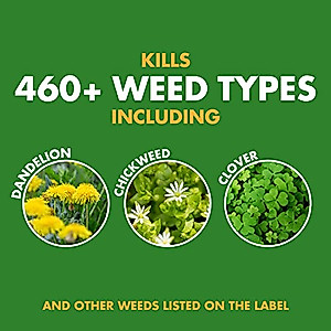 Spectracide Lawn Weed Killer, 32 oz, Clear