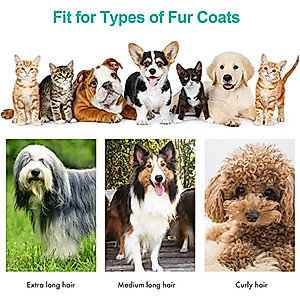 neabot P1 Pro Pet Grooming Kit & Vacuum Suction 99% Pet Hair, Professional Grooming Clippers with 5 Proven Grooming Tools for Dogs Cats and Other Animals(Renamed to Neakasa)