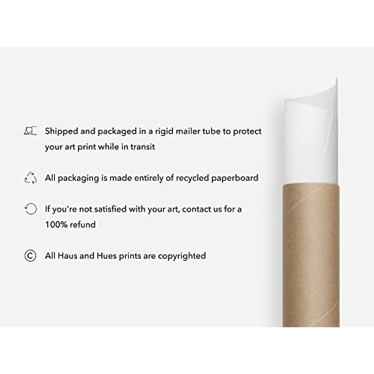 HAUS AND HUES Plant Pictures Wall Art - Succulent Art Wall Decor, Plant Prints Wall Art & Botanical Plant Wall Art Prints, Cactus Poster Botanical Flower pots on Shelves (Unframed, 16x20)