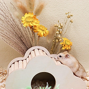 Oooct Hamster Bedding, Natural Flowers Herbs Cereal Grain Decor for Hamster Houses and Hideouts, Small Animal Cages and Habitats Accessories, Suitable for Hamster Rat Gerbil Guinea Pig