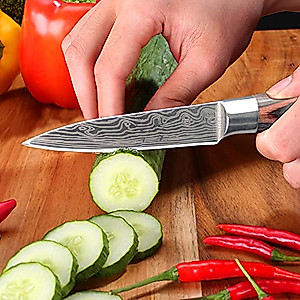 Jonbyi Paring Knife 3.5 inches, Small Knife - German High Carbon Stainless Steel Ultra Sharp Kitchen Fruit Knife for Chopping Vegetable Steak Peeling fruit, Pairing Knives with Sheath Cover
