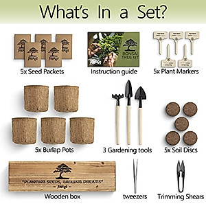 Bonsai Tree Kit – 5X Unique Japanese Bonzai Trees | Complete Indoor Starter Kit for Growing Plants with Bonsai Seeds, Tools & Planters – Gardening Gifts for Women & Men
