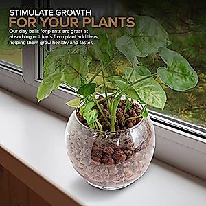 Stock Your Home 5Lbs LECA Balls Expanded Clay Pebbles Hydroponics Soil Supplies for Indoor Garden Plants - Organic Aquaponics Grow Media Drainage Layer Terrarium