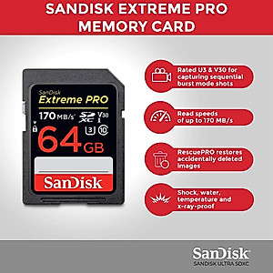 Panasonic DC-G100KK LUMIX G100 4K Mirrorless Vlogging Camera with 12-32mm Lens Bundle with 64GB SD Card, Gadget Bag Kit, Extra Battery, and 12-Inch Flexible Tripod (5 Items)