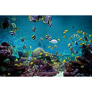 DORCEV 20x10ft Underwater World Photography Backdrop Submarine World Sea Fishes Aquatic Plants Background Undersea World Cartoon Theme Kids Birthday Party Luau Hula Party Banner Supplies Banner