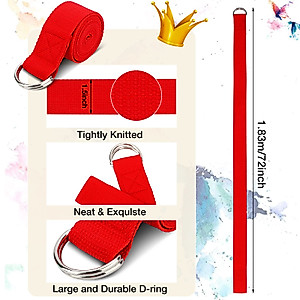 10 Pcs Yoga Strap 6Ft Exercise Stretch Bands for Flexibility with Adjustable Metal D Ring Buckle Loop Stretch Strap Non Elastic Yoga Belt Yoga Exercise Adjustable Straps for Pilates(Vivid Colors)