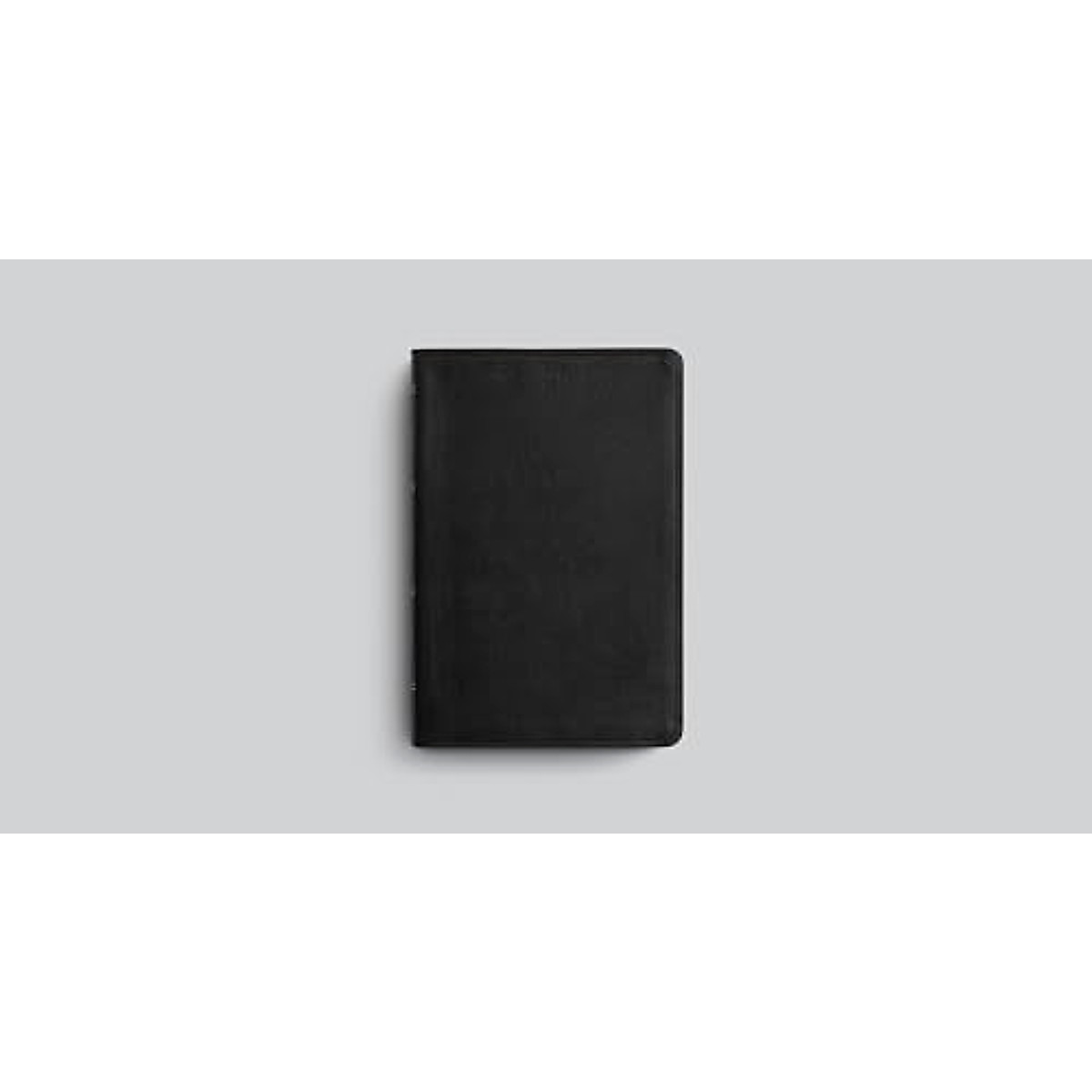 ESV Large Print Thinline Reference Bible (Black)