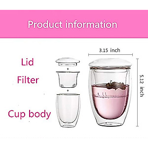 Zaoniy 12 oz Double-wall Glass Tea & Coffee Cup Mug W/Lid and Tea, Heat Resistant, Easy to Brew and Clean