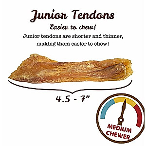 Downtown Pet Supply USA Sourced 4-7" Junior, 25 Pack Beef Tendons for Dogs - Rawhide Free Dog Chews Long Lasting and Non-Splintering - Single Ingredient, Nutrient-Rich Tendon Chews for Dogs