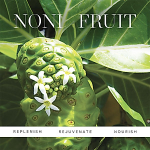 KORA Organics Noni Radiant Hydrating Eye Oil, Smooth & Tone, Certified Organic, Cruelty Free, 0.34 fl oz