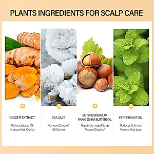 Scalp Scrub with Sea Salt and Ginger, Gentle Scalp Exfoliating, Removes Buildup, Dandruff Dry Scalp Treatment and Nourishing Hair, Parabens-free (10.6 oz / 300 g)