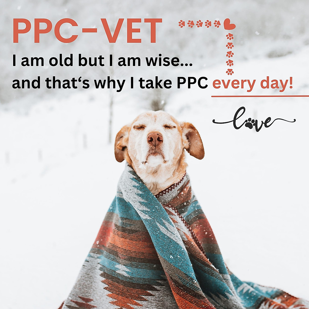 Nutrasal PPC-Vet Polyunsaturated Phosphatidylcholine Liver and Brain Health Supplement for All Sized Cats and Dogs 1000mg PPC / 5mL - Liposomal Liquid 8 oz