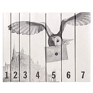 Juniper Books Harry Potter Castle and Owl Neutral Edition DUST Jackets ONLY | Custom Dust Jackets for Your 7-Volume Hardcover Harry Potter Book Set published by Scholastic | Books NOT Included