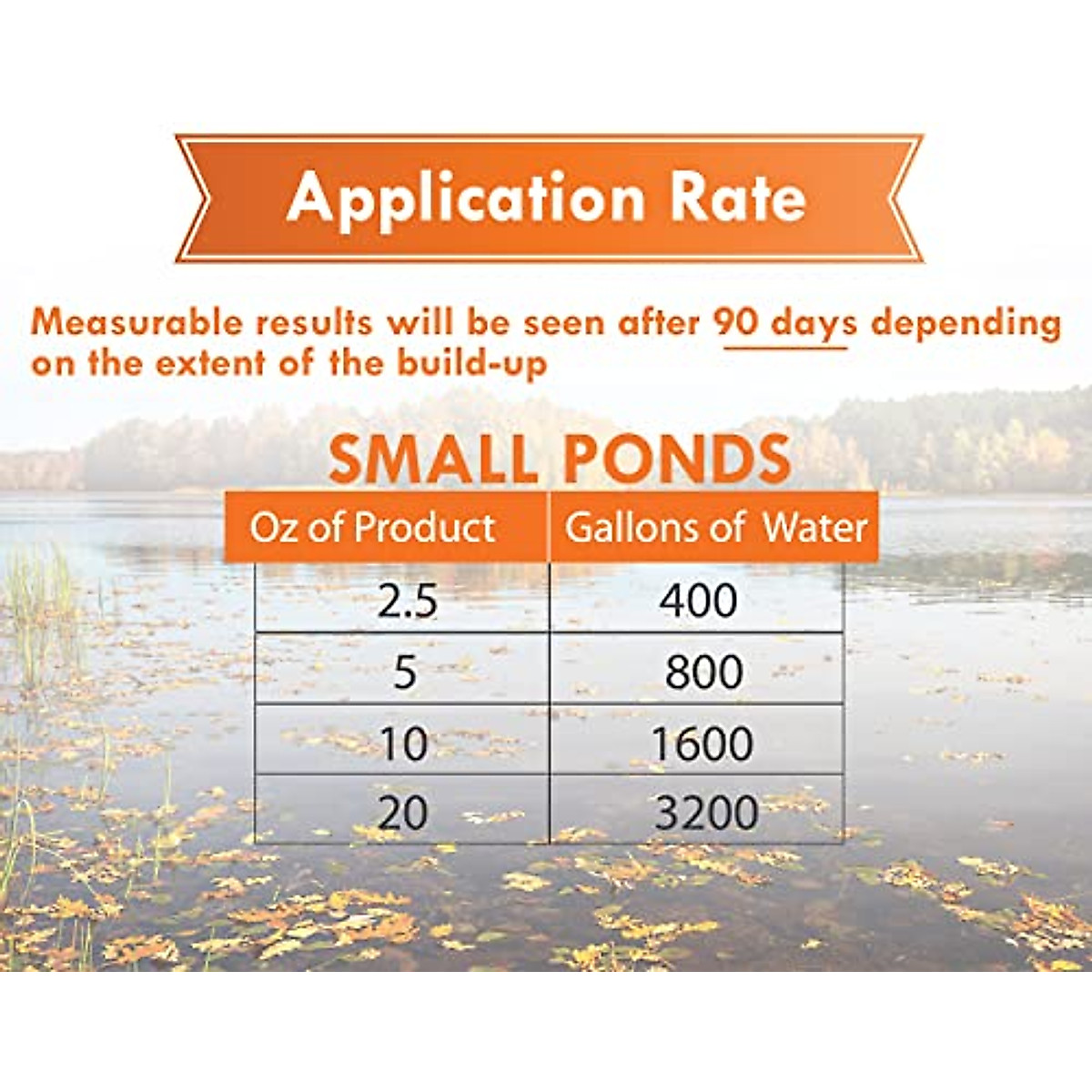 PondWorx Pond Bacteria - Formulated for Large Ponds, Water Features and Safe for Koi - Gallon