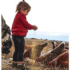 Eden Feeds Layer Feed for Chickens - 40 lb Bag Non GMO Soy and Corn Free Whole Grain Minimally Processed Feed