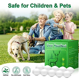 36 Pack Deer Repellent - Natural Deer Repellent for Plant, Deer Deterrent, Peppermint Oil Keep Deer Away from Outdoor Garden Lawn Tree Yard, Moose Repellent, Safe for Deer and Plants, Ready to Use