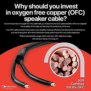 Nakamichi Excel Series 24k Gold Plated Banana Plug with (10 Feet) 12AWG Speaker Cable Wire 99.9% Oxygen-Free Copper (OFC) Heavy Duty Braided for Amplifier Hi-Fi Home Theatre - Black (10ft/3.0m)