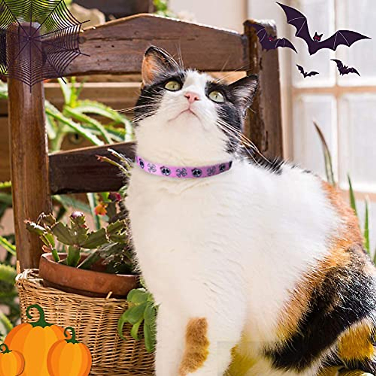 PUPTECK Breakaway Cat Collar with Bell Charm, 2 Packs Adjustable Kitty Collars Pink & Black Skull Pattern