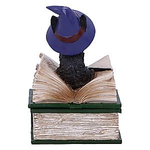 Nemesis Now Binx Small Witches Familiar Black Cat and Spellbook Figurine Box, Green, 11cm