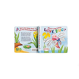 Where's My Little Love Bug?: A Mirror Book