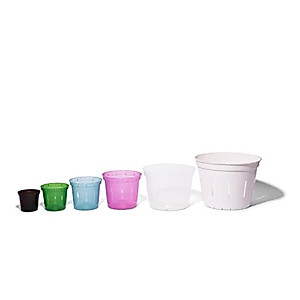 rePotme Orchid Pots - 8 Pack of Slotted Clear Pots with Holes, 3, 4, 5, 6 Inch Sizes for Indoor/Outdoor, Ideal for Repotting