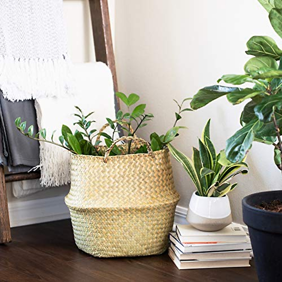 Seagrass Belly Basket with Handles – 12.6"x11" - 100% Hand Woven from Sustainably Grown Seaweed – Decorative Basket for Living Room and Bedroom and for Storage of Blankets, Laundry and Toys