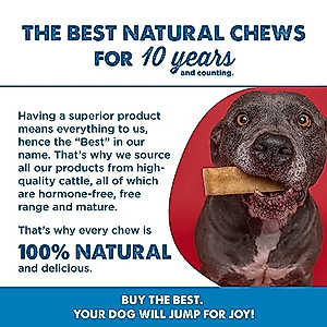 Best Bully Sticks All-Natural USA Baked & Packed Himalayan Yak Cheese for Dogs - Vegetarian & Lactose Free - Fully Digestible, Long-Lasting Chews - Large Chews from 4 Pack
