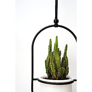 Mkono Mini Hanging Planters Indoor Herb Garden for Window, 3.5" Ceramic Plant Pot in 3 Different Metal Plant Hangers with Drainage Holes for Indoor Plants, Black/White