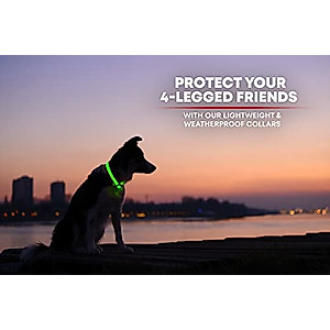 Illumiseen LED Dog Collar USB Rechargeable - Bright & High Visibility Lighted Glow Collar for Pet Night Walking - Weatherproof, in 6 Colors & 6 Sizes (Green Large)