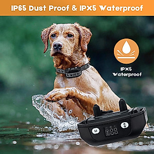 GPS Wireless Dog Fence, Electric Dog Collar Fence, Range 65-3281ft, Adjustable Warning Strength, Rechargeable, Pet Containment System, Harmless and Suitable for All Dogs(2023 New Model for 2 Dogs !)