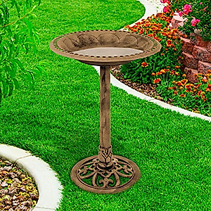 Pure Garden 50-LG1074 Weather Resistant Birdbath with Vintage Resin Bird Bath with Antique Design-Bronze