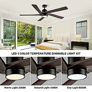 WINGBO 54 Inch DC Ceiling Fan with Lights and Remote Control, 5 Reversible Carved Wood Blades, 6-Speed Noiseless DC Motor, Modern Ceiling Fan in Matte Black Finish with Walnut Blades, ETL Listed