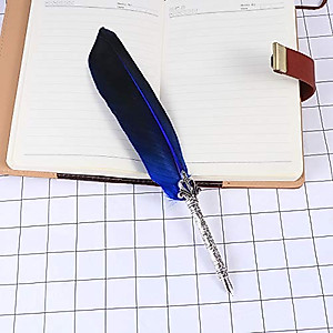 STOBOK Ancient Calligraphy Quill Feather Pen Set Vintage Beautiful Pen Set for Office and Store (Blue + 5 Nibs + Ink)
