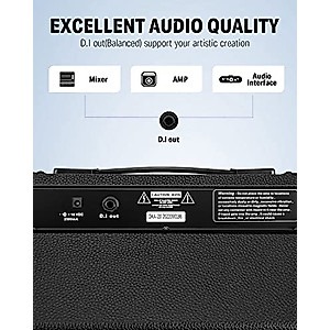 Donner DKA-20 Keyboard Amplifier 20 Watt Keyboard AMP with Aux in and Two Channels, Bass Guitar Amp, Piano Amplifier, Electronic Drum Speaker Support for Microphone Input