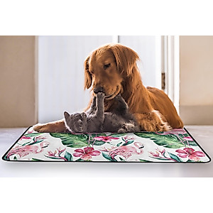 Flamingo Kitchen Rug Pink Kitchen Mats Floor Tropical Bird Soft Non Slip Anti Fatigue Bath Rug Runner Doormats Carpet for Home Decor 39 X 20 in
