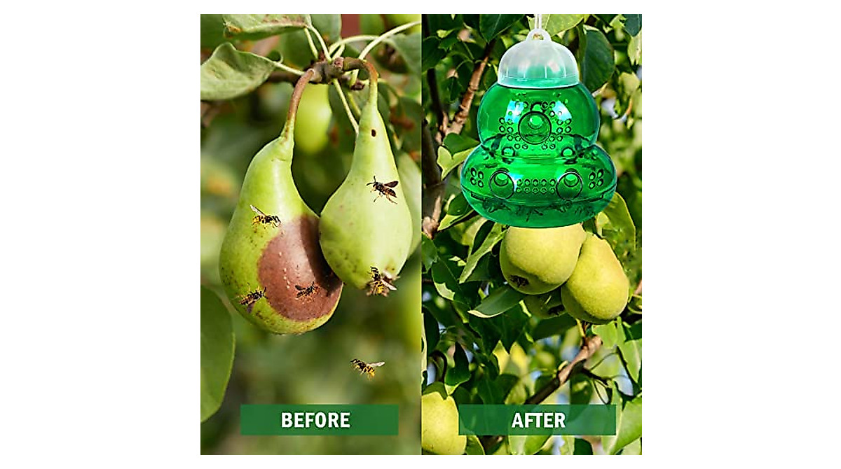 4 Pack Wasp Traps for Effective Outdoor Pest Control