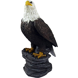 DWK - Liberty - Majestic American Bald Eagle on Rock Desk Statue Figurine Patriotic Sculpture USA Freedom Office Bookshelf Tabletop Home Decor Accent, 9-inch…