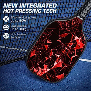 Pickleball Paddles USAPA Approved, Carbon Fiber Surface (CHS) Pickleball Paddles Set of 2, Professional Pickleball Racket, Cushion Grip, Honeycomb Core, 4 Balls & 1 Carry Bag, All Ages' Gift