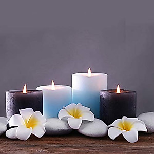 CocoSoy Scented Pillar Candles EcoAroma Natural Flower & Plant Fragrance Oils Aromatherapy & Home Scented , Organic Eco Wax 3' D x 6 " H Beautiful Marble Bamboo & Lily