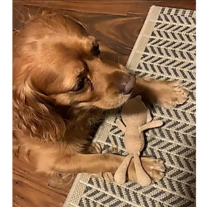 Squeaky Bear Dog Toys, Durable Plush Chew Cute Toy for Small or Medium Breeds, Set of 2, Bear Figures, Dog's Besties, Interactive Bear Animals, Promotes Dental Health and Hygiene (Brown and Beige)