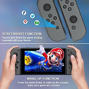 Wiv77 Joypads for Nintendo Switch Controller, Gray Joypads Switch Controller for Nintendo Switch/Lite/OLED,Left and Right Switch Joypad Support Dual Vibration/Wake-up Function/Motion Control,No NFC