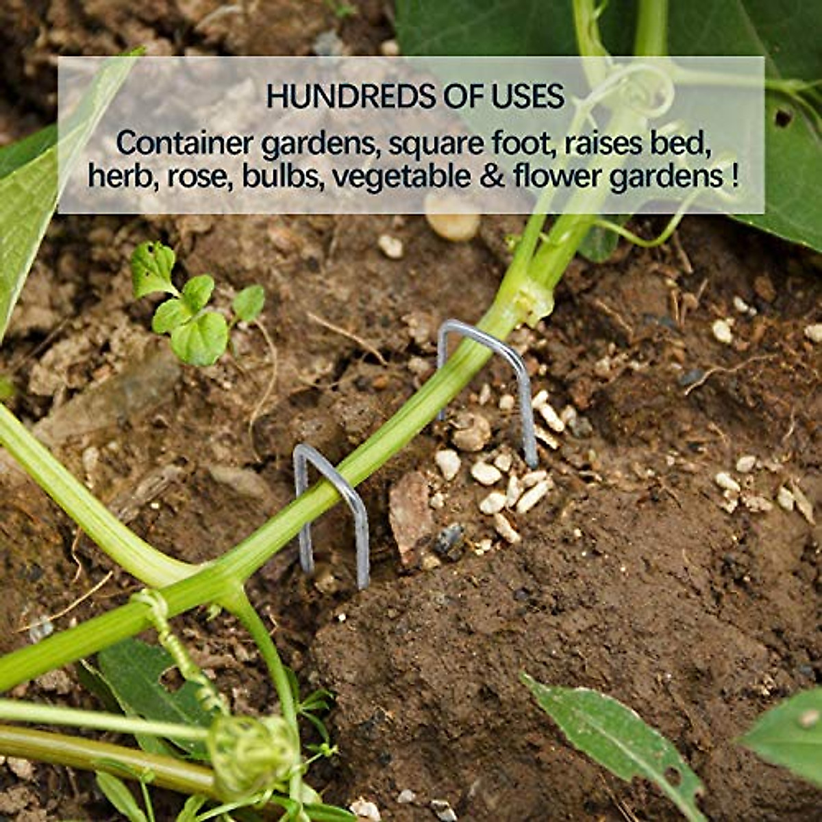 HOOPLE 100 PC 6'' 11 Gauge Heavy Duty U-Shaped Securing Garden Stakes Pins - Sod Fence Landscape Staples for Anchoring Weed Barrier and Landscape Fabric, Premium Ground Stakes(100)