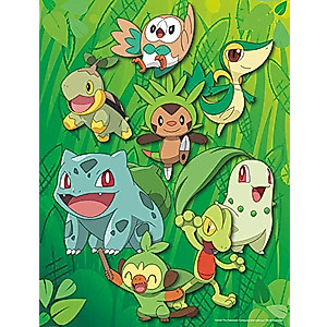 Buffalo Games - 4 in 1 Multipack - Pokemon, 500