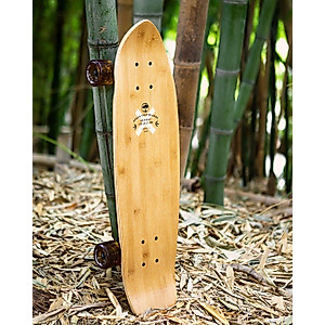 Arbor Pilsner Bamboo Collective Series Cruiser Skateboard Bundled with Swell Skate Tool + Crate White Shark Sticker…