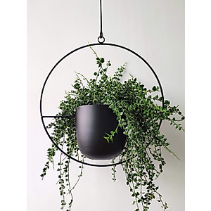 RISEON Boho Black Metal Plant Hanger,Metal Wall and Ceiling Hanging Planter, Modern Planter, Mid Century Flower Pot Plant Holder, Minimalist Planter for Indoor Outdoor Home Decor