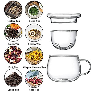 Tosnail 2 Pack 13 Ounce Glass Tea Cup with Lid and Tea Infuser Set, Tea Mugs with Strainer, Clear Teacups with Tea Filter, Glass Cups for Loose Tea Brewing